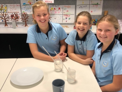 Isabella-Jamieson-Amelia-Hyams-Ellie-Rodski_390x295_acf_cropped - St ...