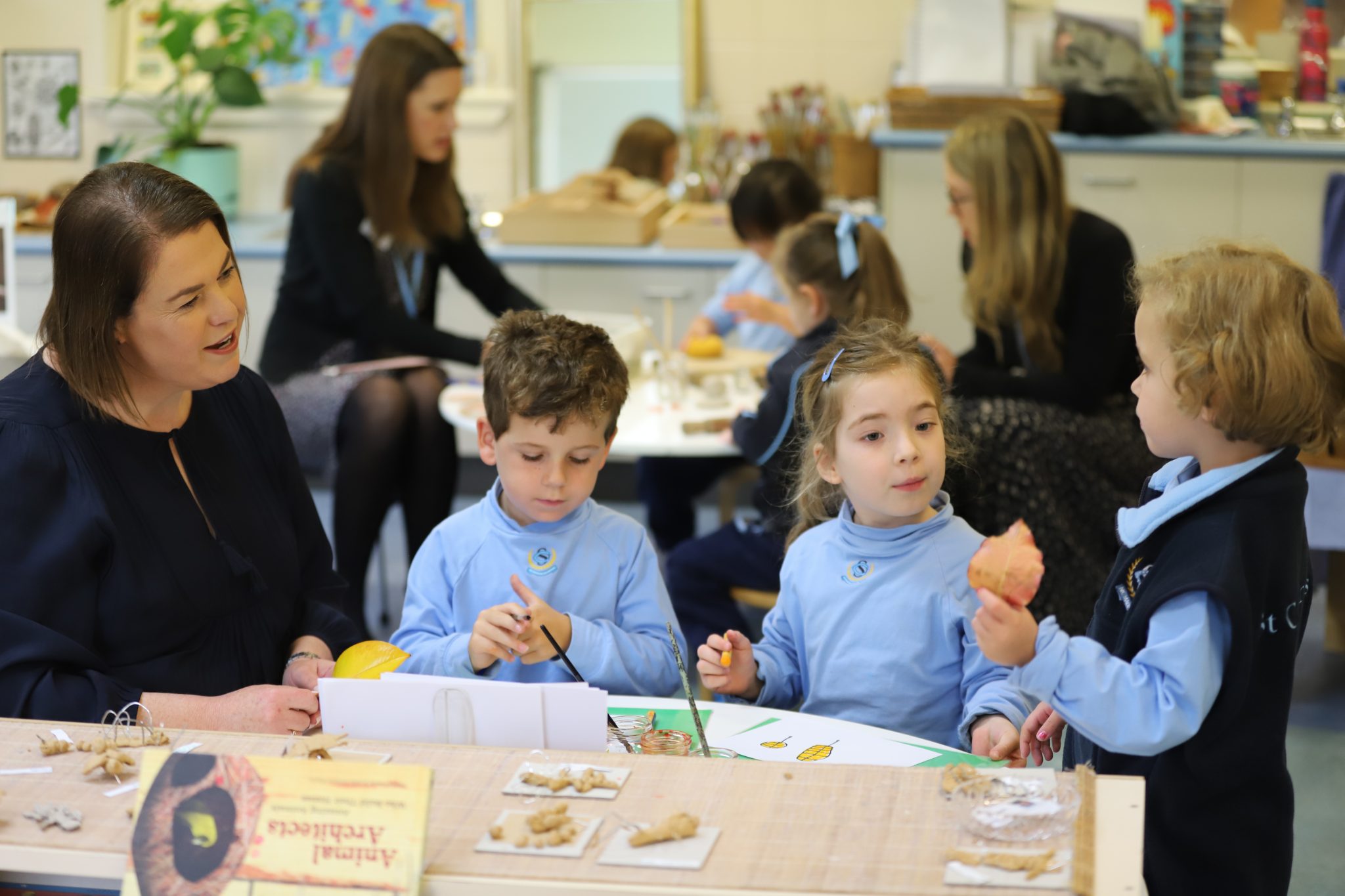 Foundations of Learning & Development - St Catherine's School