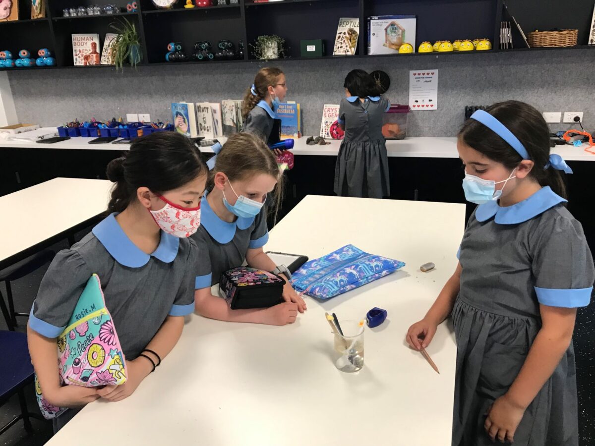Sophisticated Science in Junior School - St Catherine's School
