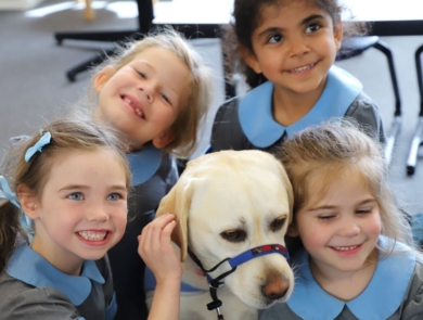 Dog Days in the Junior School - St Catherine's School