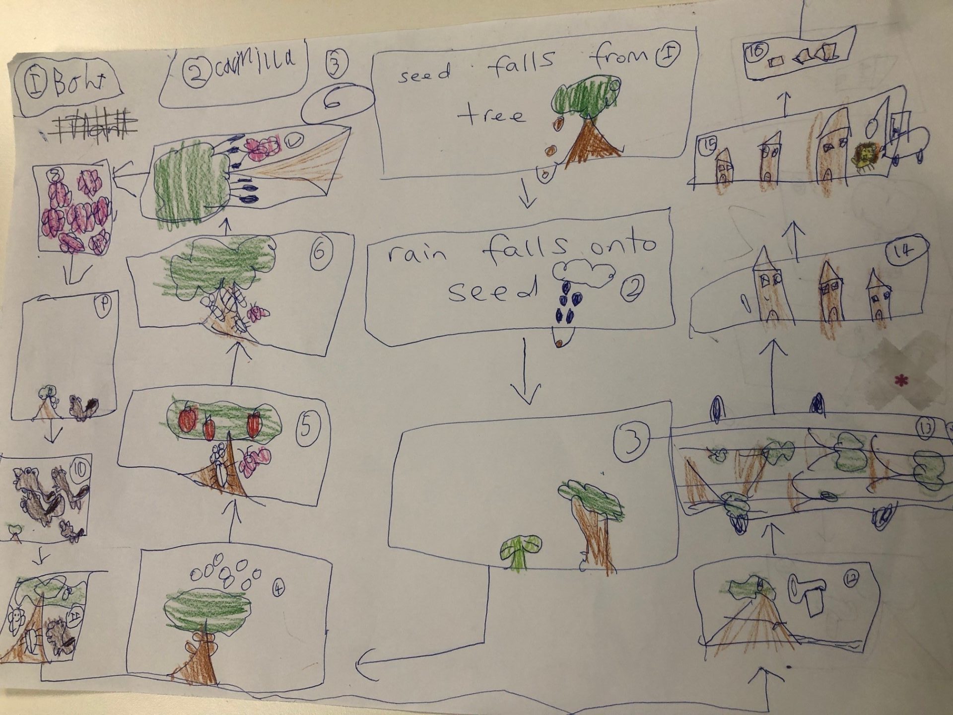 Digital Technology in STEM - St Catherine's School