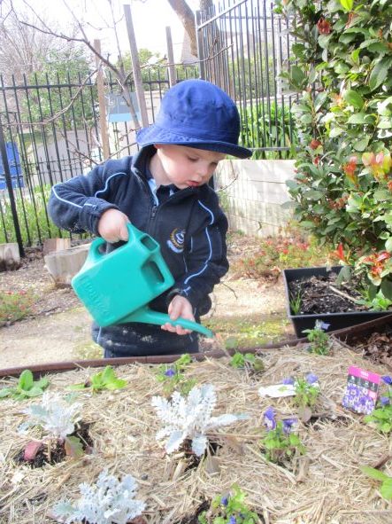 Connecting to Nature in the ELC - St Catherine's School